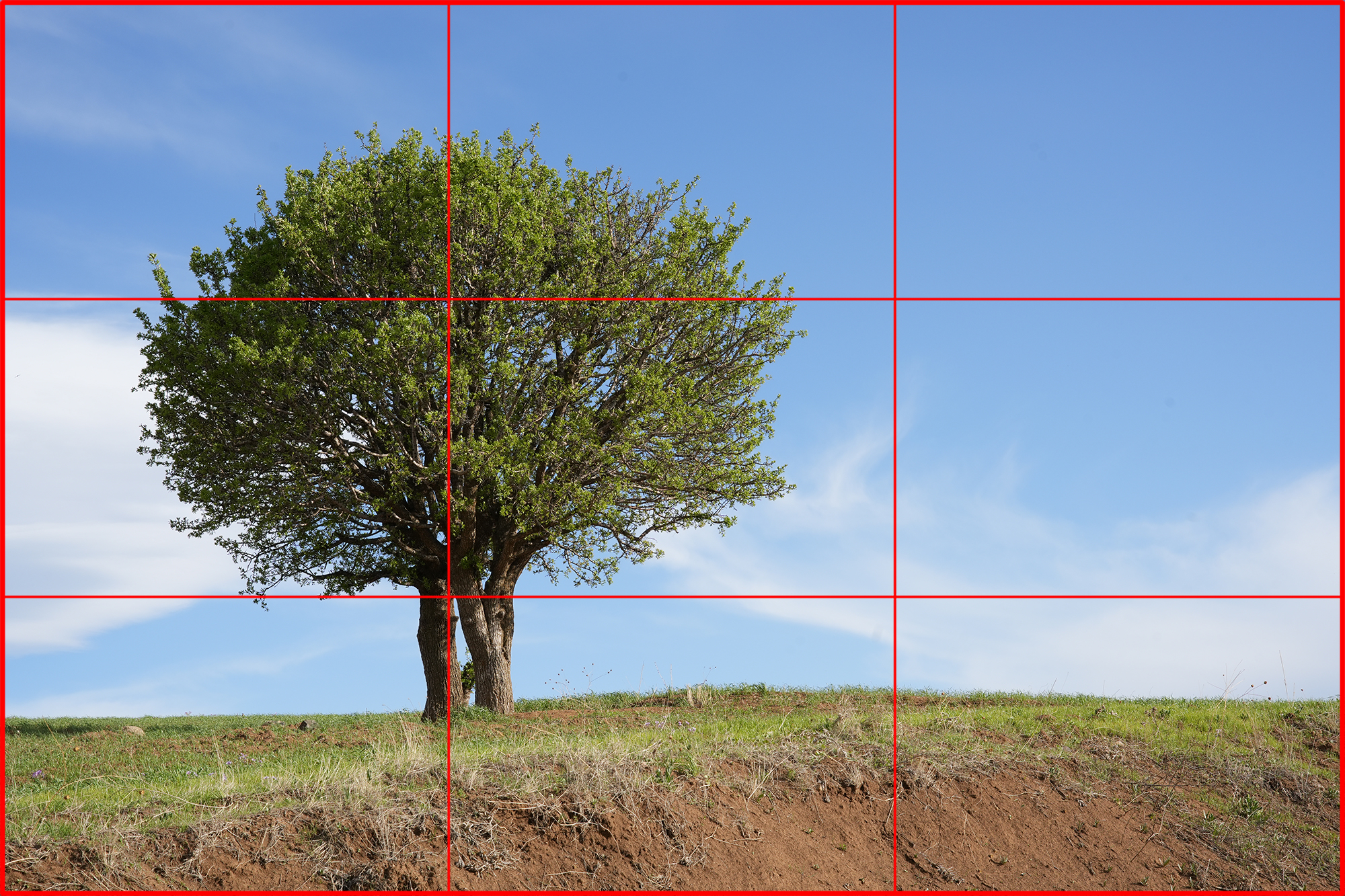 The Ultimate Guide to Photography Composition: 26 Rules That Will ...